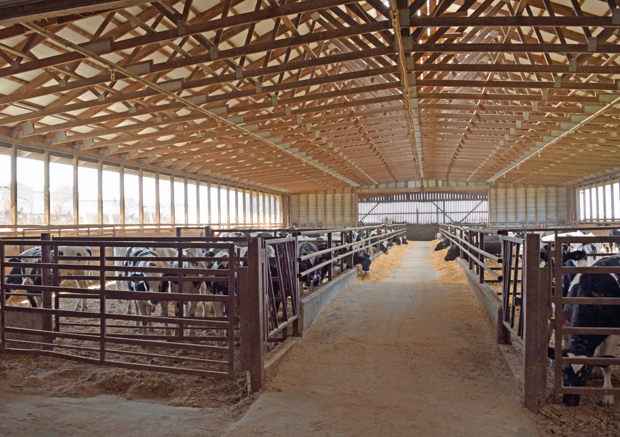 FAQ - Veal Farmers of Ontario