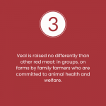 All about veal - Veal Farmers of Ontario